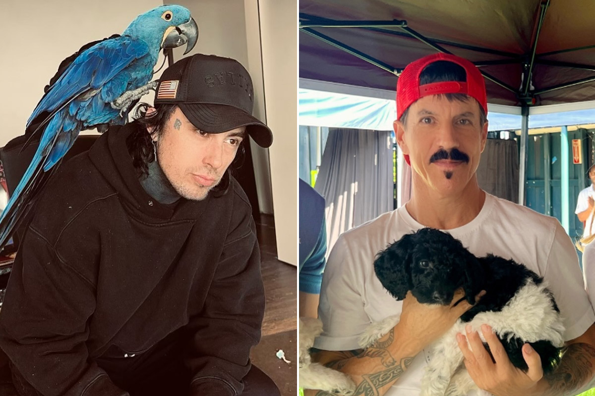 Falling In Reverse's Ronnie Radke Criticizes Red Hot Chili Peppers Vocalist